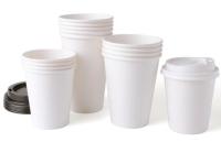 China Wholesale 10oz Single Wall Food Grade Disposable Custom Printed Paper Coffee Cup for sale