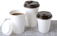 China Custom Printed Double Wall Kraft Paper Coffee Cup 8oz 240ml with Plastic Lid for Hot Drinks for sale