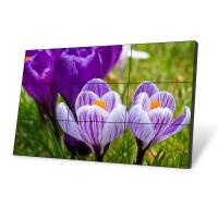 China 55 Inch 1.8mm Narrow Bezel CVBS LCD Video Wall 700cd/m2 185W for sale