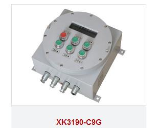 China Explosion-Proof Instrument with 32-Bit ARM Processor RS485 RS232 4-20mA Output 300x300x150mm for sale