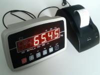 China LZWS12 Flat Platform Floor Scale Indicator ABS LED LCD 110V 220V for sale