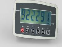 China LZWS12 Flat Platform Floor Scale Indicator ABS LED LCD 110V 220V for sale