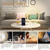 China Smart Light Therapy Lamp 10000 Lux with APP-Controlled Adjustable Timer for SAD and Circadian Rhythm for sale