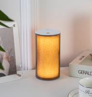 China 1W Sleep Aid Lamp with Rechargeable Lithium Battery and Warmwhite +Red Dual Color Flip Design for sale