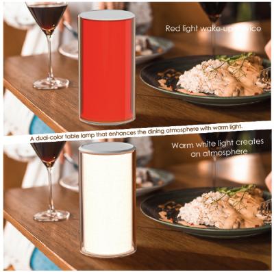 China 1W Sleep Aid Lamp with Rechargeable Lithium Battery and Warmwhite +Red Dual Color Flip Design for sale