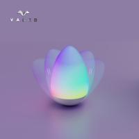 China E9 Wobble Egg Lamp – Portable Table Lamp with 44 Color Modes, Remote Control & 2000mAh Battery for sale