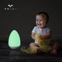 China E9 Wobble Egg Lamp – Portable Table Lamp with 44 Color Modes, Remote Control & 2000mAh Battery for sale