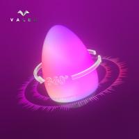 China E9 Wobble Egg Lamp – Portable Table Lamp with 44 Color Modes, Remote Control & 2000mAh Battery for sale