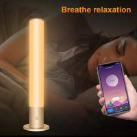 China APP Control Smart Sad Lamp 10000 Lux Light Therapy Lamp with 2700K - 6500K Sunlight for sale