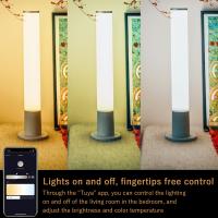 China APP Control Smart Sad Lamp 10000 Lux Light Therapy Lamp with 2700K - 6500K Sunlight for sale