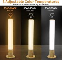 China 16W Smart Light Therapy Lamp with 10000 Lux and APP Control for Biorhythm Lighting for sale