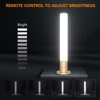 China 16W Smart Light Therapy Lamp with 10000 Lux and APP Control for Biorhythm Lighting for sale
