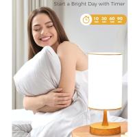China Adjustable 10000 Lux LED Therapy Lamp with Remote Control for Mood Enhancement for sale