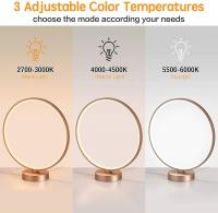 China 10000 Lux Dimmable Smart Sad Light with APP Control - Circadian Optics Therapy Lamp for sale