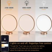 China 2700K-6500K Smart Light Therapy Lamp with 10000 Lux and Tuya APP Control for sale