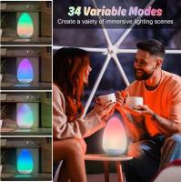 China Rechargeable Portable Table Lamp with 34 Lighting Modes and IP20 Rating for Kids for sale