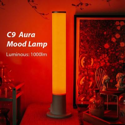 China Dimmable Mood Table Lamp with RGB +W 2700K Color Changing Night Light and Remote Control for sale