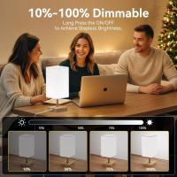China 24Watt 10000 Lux Daylight Therapy Light with Dimmable Touch Control for Seasonal Depression for sale
