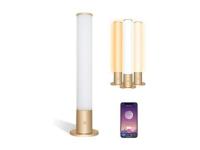 China APP Control Smart Sad Lamp 10000 Lux Light Therapy Lamp with 2700K - 6500K Sunlight for sale