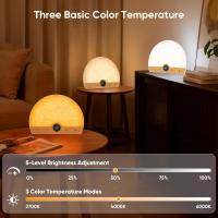 China 10000 Lux Dimmable Light Therapy Lamp with Sunrise Simulation and Sleep Aid Function for sale