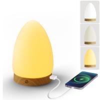 China Dimmable Sunlight Therapy Lamp 10000Lux with 2700K-6000K Color Temperature for Mood Enhancement for sale