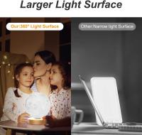 China Remote Control Moon Shaped Lamp 16W LED Moon Lamp with 10000 Lux Light Therapy for sale