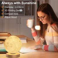 China Remote Control Moon Shaped Lamp 16W LED Moon Lamp with 10000 Lux Light Therapy for sale