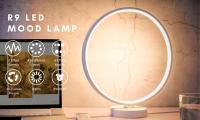 China 2700K RGBW Remote Control Mood Lamp Bedside Table Lamp for Home Party for sale