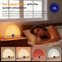 China 10000 Lux Dimmable Wake Up Light Therapy Lamp with 2700K-4000K-6000K Sunrise Alarm Clock for sale