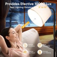 China Touch Control Light Therapy Floor Lamp with 10000 Lux Brightness and 3 Dimmable Color Temperatures for sale