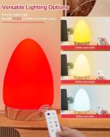 China Red Light Night Light Desk Lamp with 670nm Wavelength Multi-Color Options and USB Charging for Sleep Aid for sale