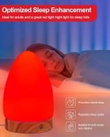 China Red Light Night Light Desk Lamp with 670nm Wavelength Multi-Color Options and USB Charging for Sleep Aid for sale