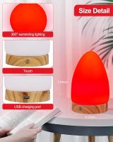 China Red Light Night Light Desk Lamp with 670nm Wavelength Multi-Color Options and USB Charging for Sleep Aid for sale