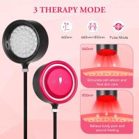 China Dimmable 30W Red Light Therapy Lamp with Remote Control for Face and Body for sale