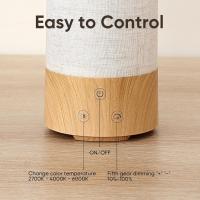 China 10000 Lux Light Therapy Lamp with Adjustable Color Temperature and Memory Function for Office and Home for sale