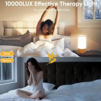 China 10000 Lux Light Therapy Lamp with Adjustable Color Temperature and Memory Function for Office and Home for sale