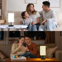 China 10000 Lux Daylight Therapy Lamp with Dimmable Remote Control for Seasonal Depression for sale