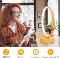 China Customizable 10000 Lux Light Therapy Lamp with Remote Control for Home and Office for sale