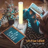 China 100V - 240V Daylight Simulation Lamp with Remote Control and Adjustable Colors/Brightness for Sunlight Therapy for sale