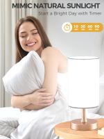 China 16W Light Therapy Lamp with 10,000 Lux Brightness 3 Color Temperatures and Adjustable Brightness for Seasonal Affective Disorder for sale