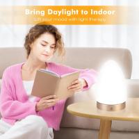 China Remote Control Dimmable Happy Sunlight Lamp 10000 Lux Light Therapy Lamp with Timer for sale
