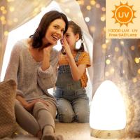 China Customizable 10000Lux Sunlight Therapy Lamp with Remote Control and Timer for sale