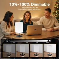 China 10000 Lux Dimmable SAD Lamp with Touch Control for Seasonal Depression Light Therapy for sale
