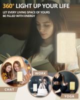 China 10000 Lux Dimmable SAD Lamp with Touch Control for Seasonal Depression Light Therapy for sale