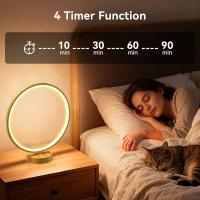 China Customizable Circular SAD Light Therapy Lamp 10000lux for Residential Use for sale