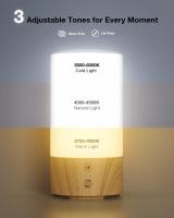 China Customizable 10000 Lux Dimmable Light Therapy Lamp With Timer Function For Seasonal Affective Disorder for sale