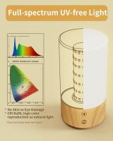 China Customizable 10000 Lux Dimmable Light Therapy Lamp With Timer Function For Seasonal Affective Disorder for sale