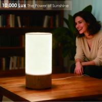 China 10000 Lux Light Therapy Lamp with Remote Control and Customizable SAD Mood Lamp for sale