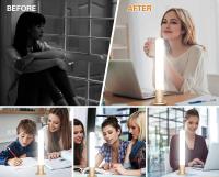 China Remote Control Daylight Simulation Lamp 10000LUX Happy Mood Light for sale