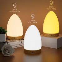 China 10000 Lux Dimmable Sunlight Therapy Lamp with Remote Control for Home and Office for sale